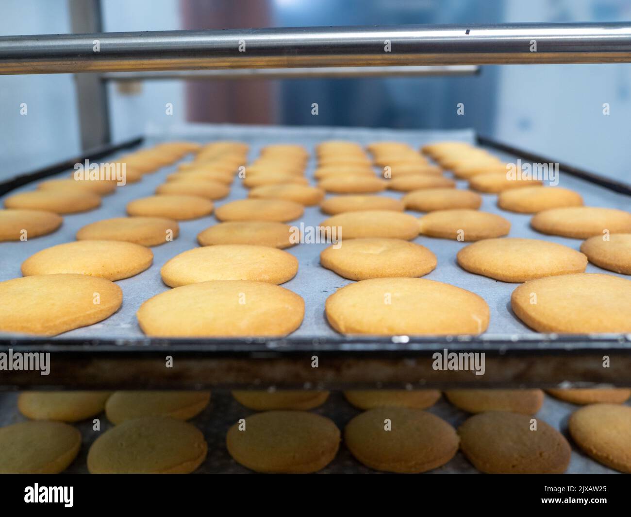 baker baking cooking in the kitchen of a lab Stock Photo - Alamy