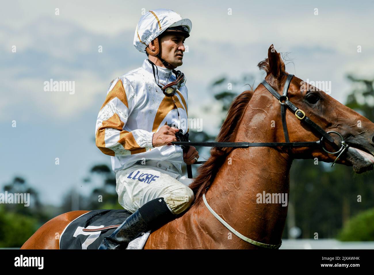 Jockey Corey Brown riding Wudang Blade to win race 4 the #THERACES ...