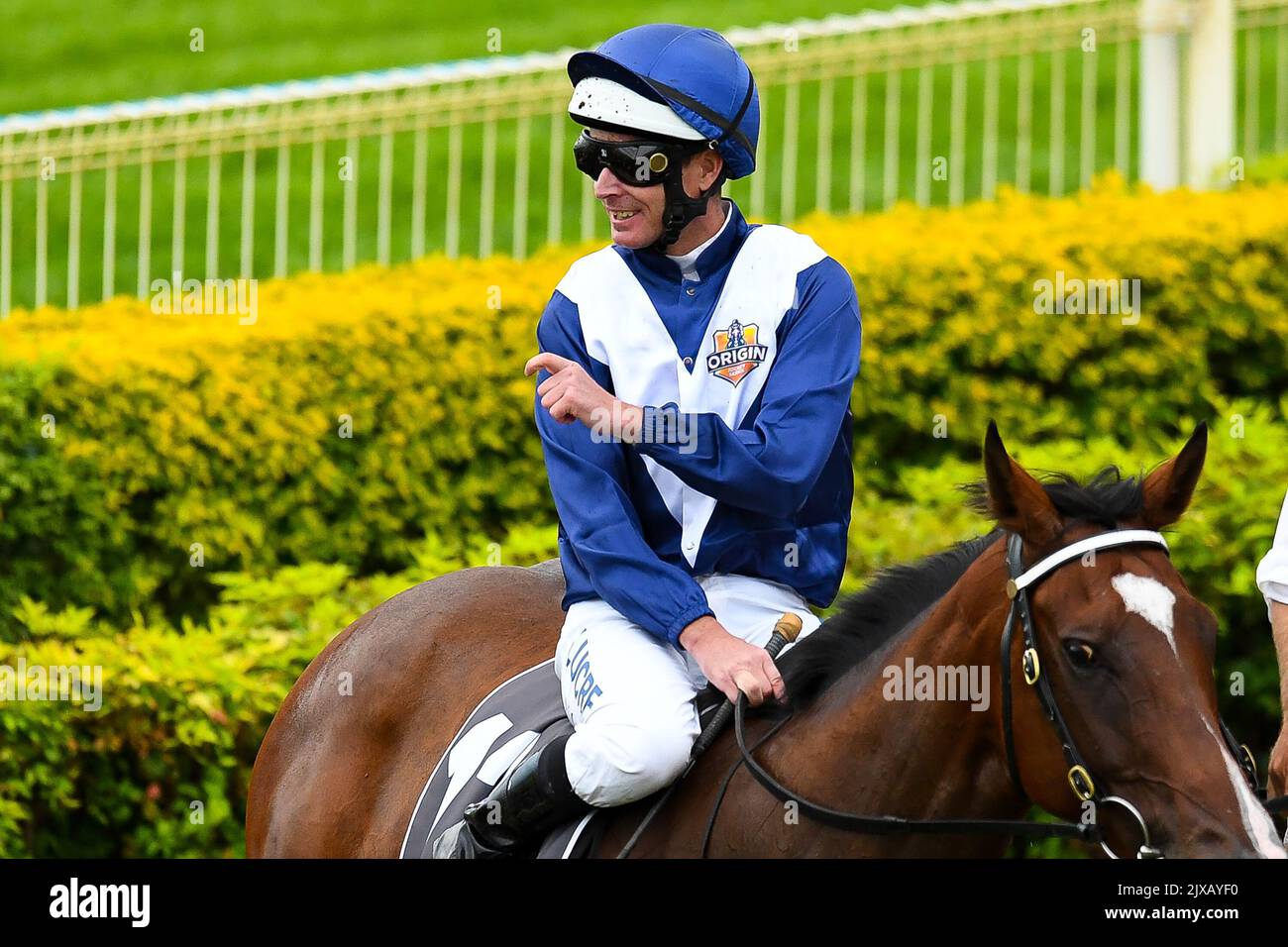 Jockey Luke Nolan gestures after riding Femme Fireball to win race 6 ...