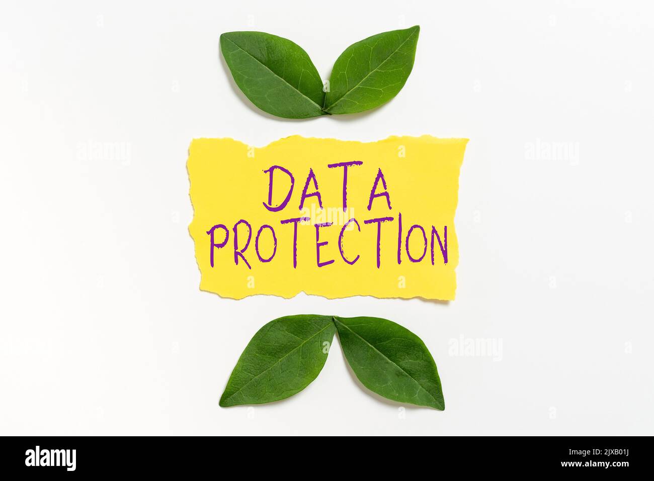 Text sign showing Data ProtectionProtect IP addresses and personal data ...