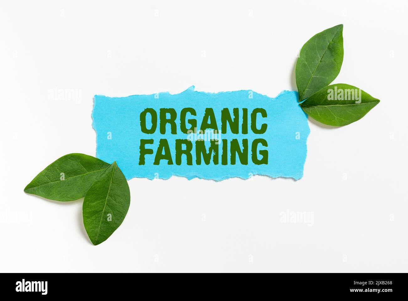 Hand writing sign Organic Farmingan integrated farming system that ...