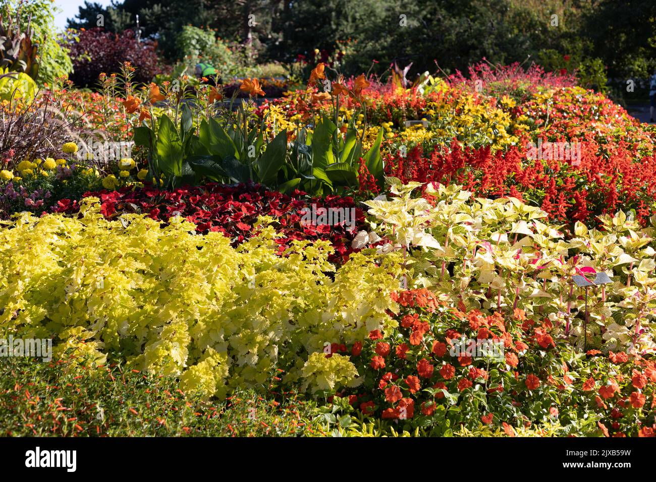 Warm color hi-res stock photography and images - Alamy