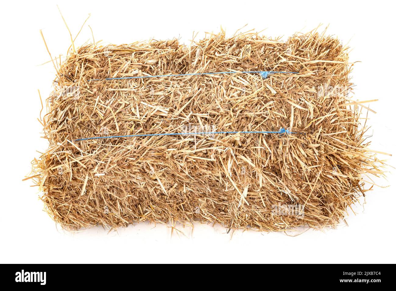 Horse in straw Cut Out Stock Images & Pictures - Alamy