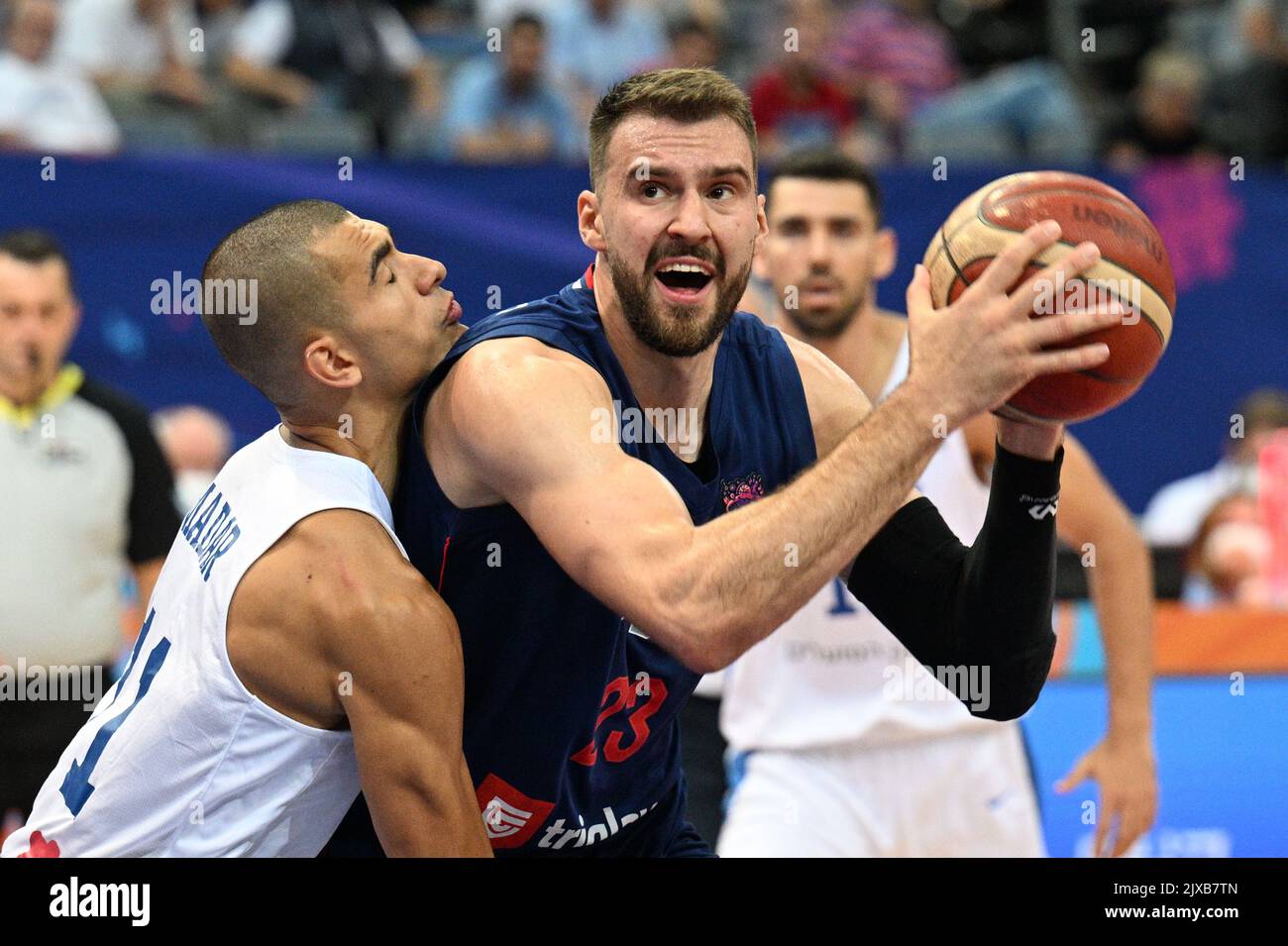 Madar hi-res stock photography and images - Alamy