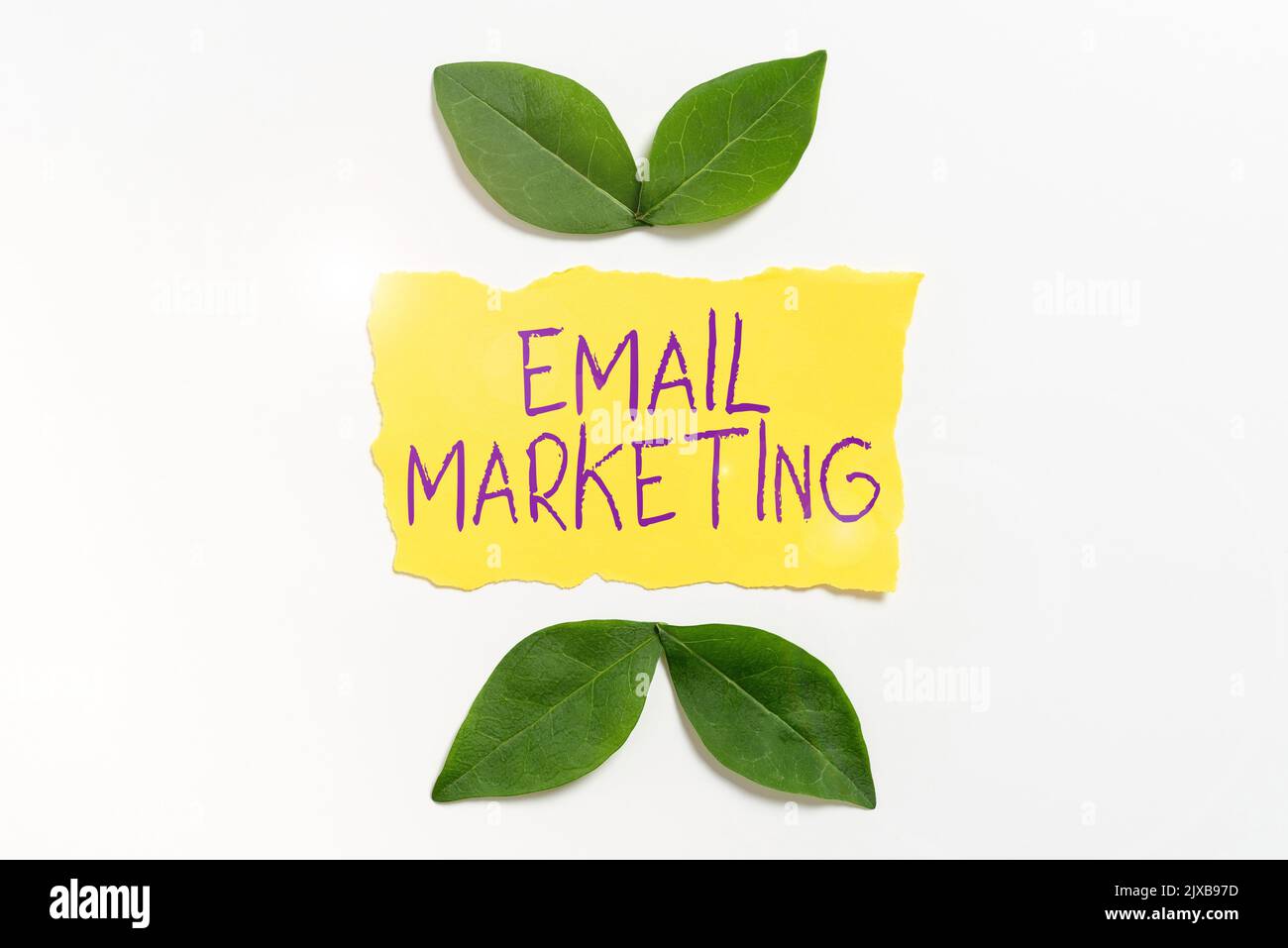 Conceptual display Email MarketingSending a commercial message to a ... Conceptual display Email MarketingSending a commercial message to a ...