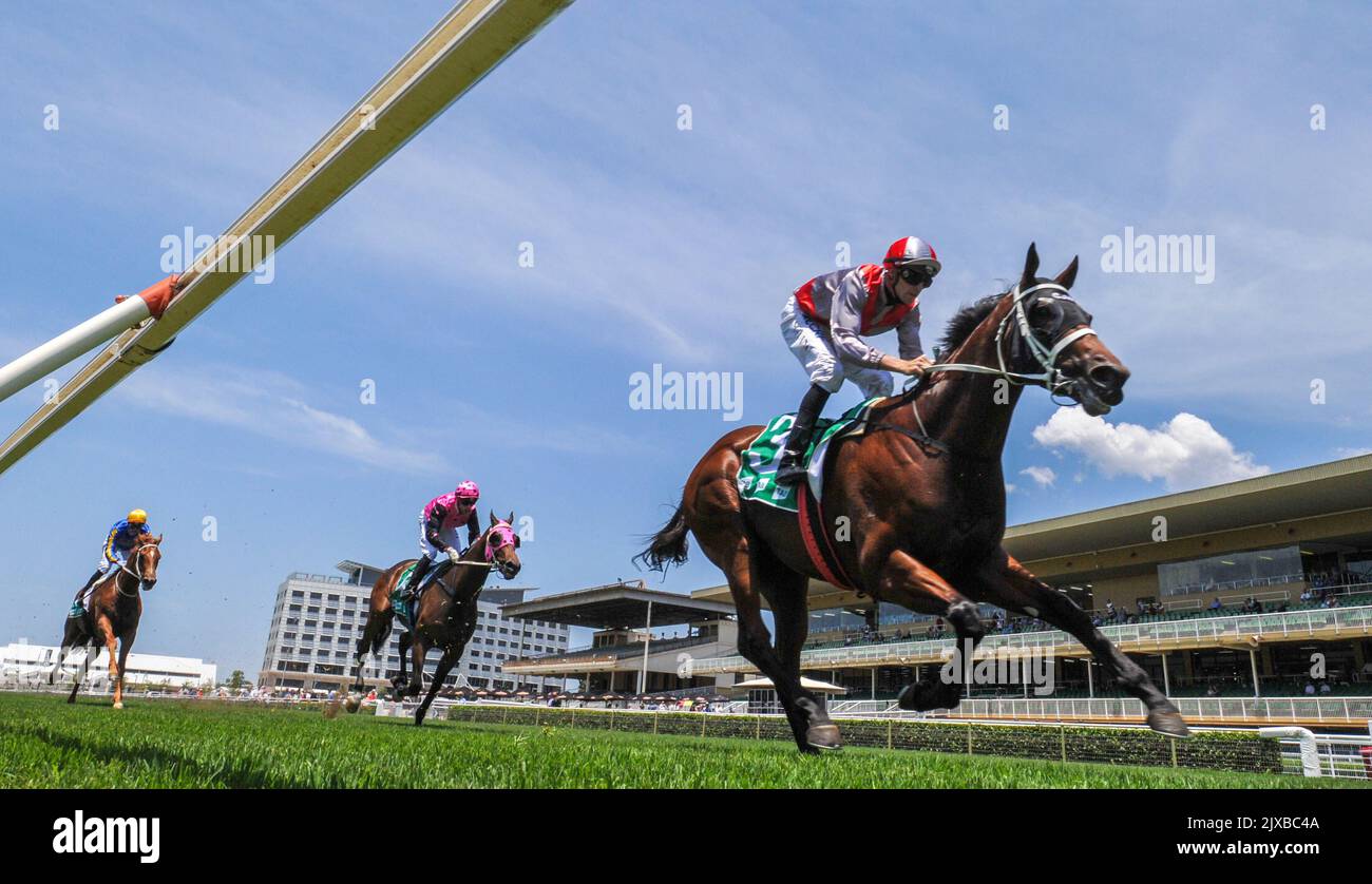 Jockey Tye England rides Scream Park to win race 2, the TAB.COM.AU ...