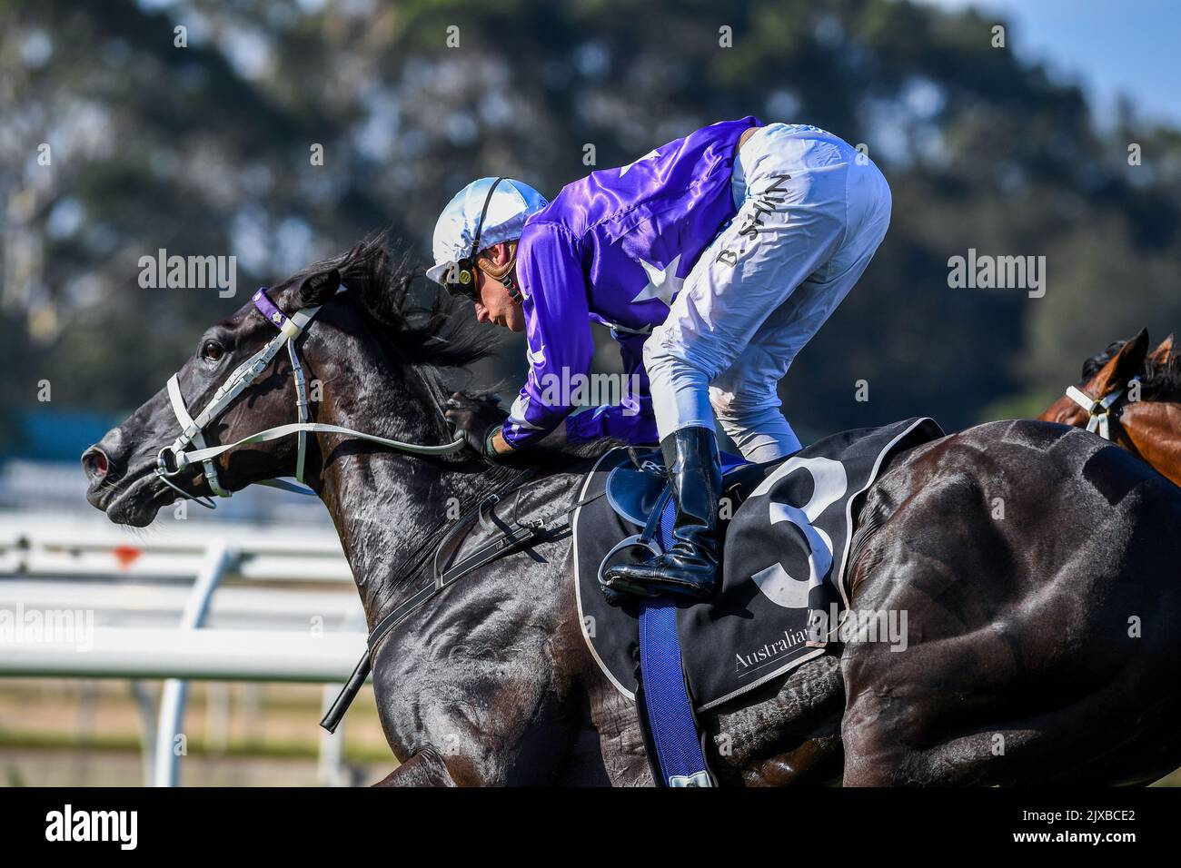 Jockey Blake Shinn rides Noire to win race 9, the Australian Turf Club ...