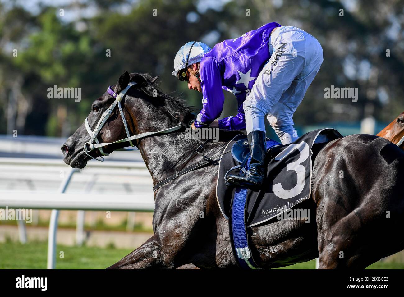 Jockey Blake Shinn returns to scale after riding Noire to win race 9 ...