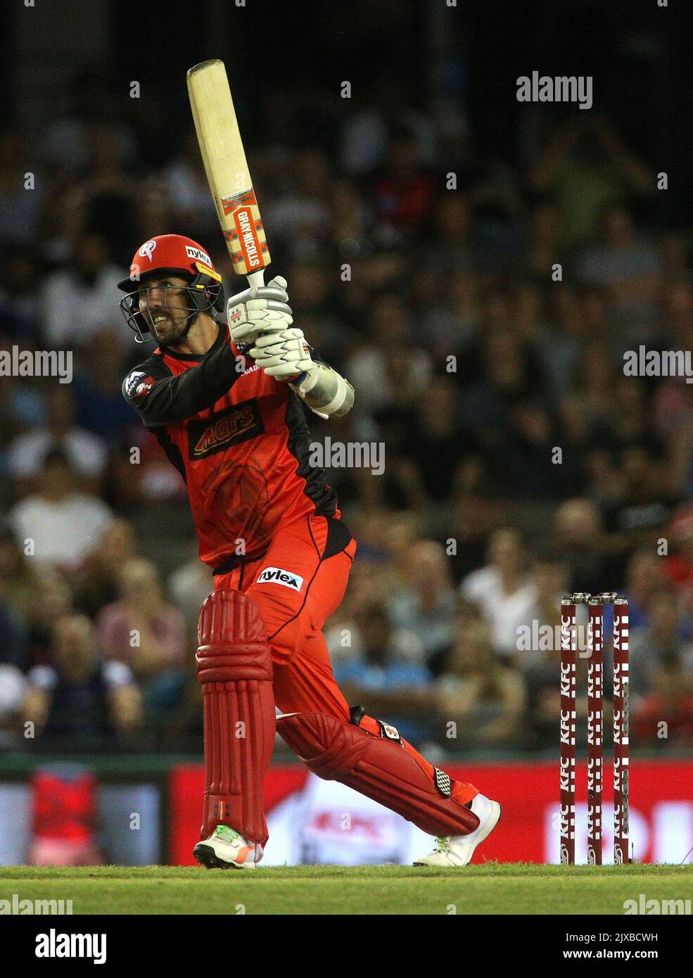 Tom Cooper of the Melbourne Renegades drives during the BBL game ...