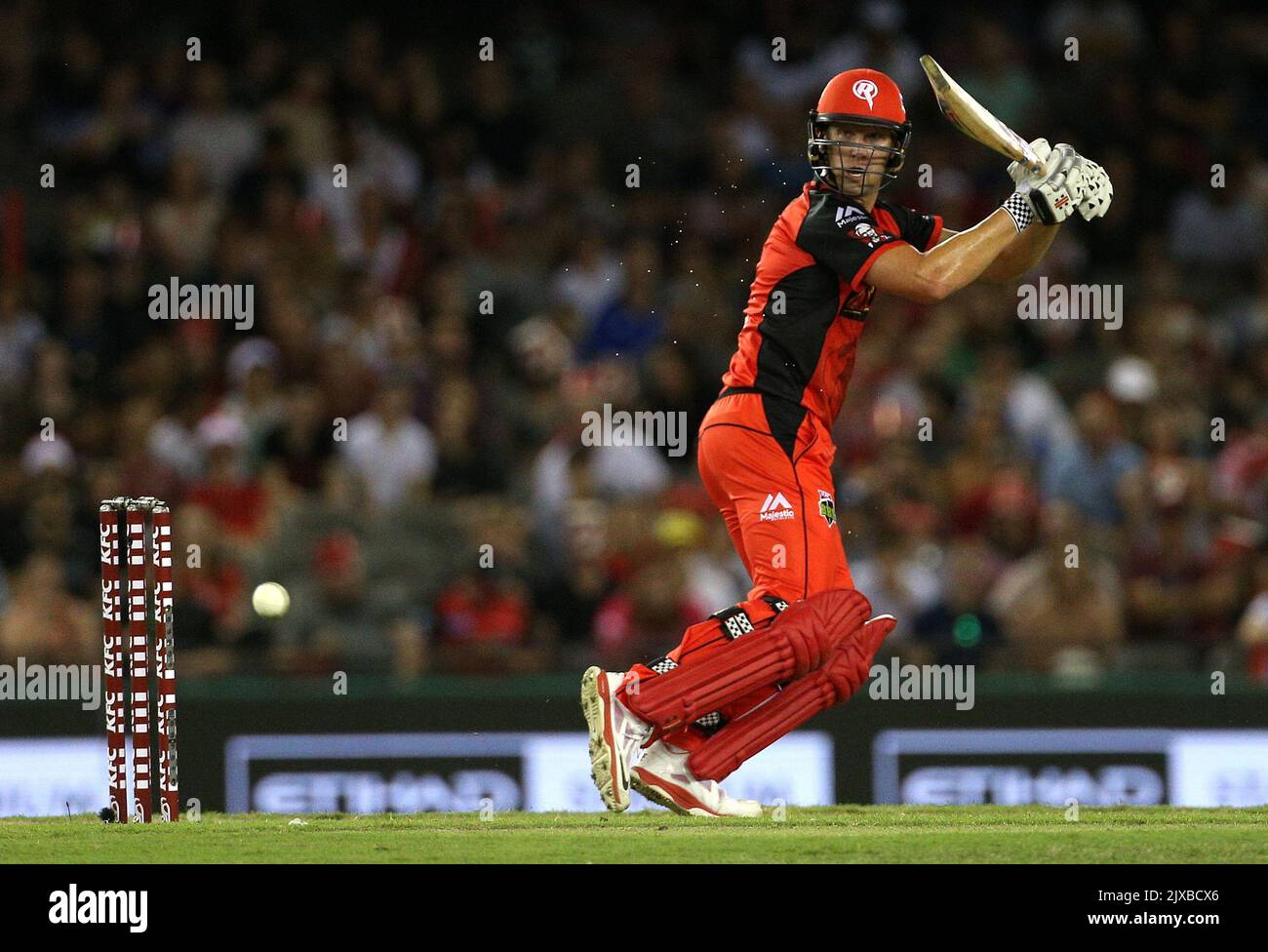 Cameron White of the Melbourne Renegades batting during the BBL game ...