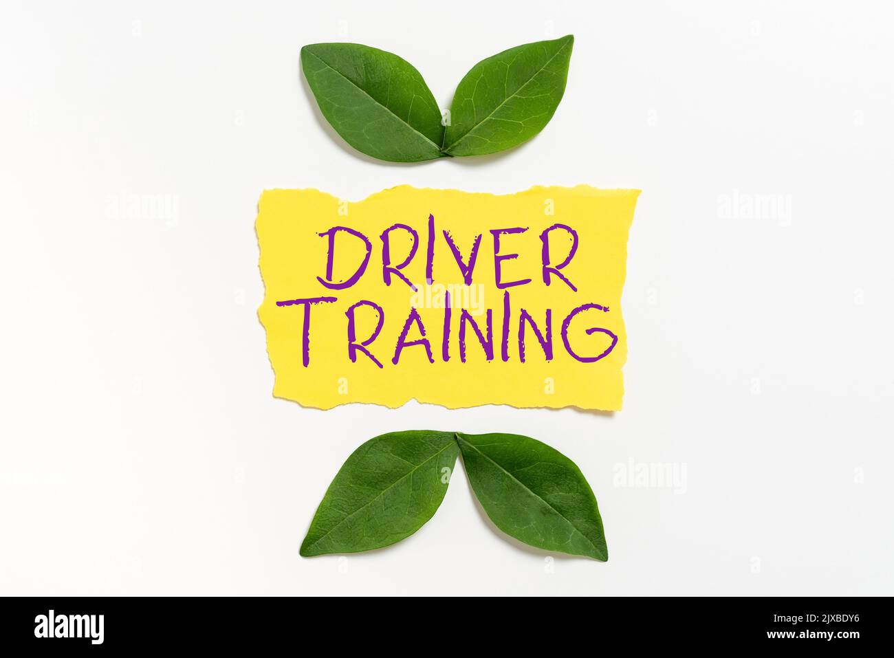 Text caption presenting Driver Trainingprepares a new driver to obtain ...