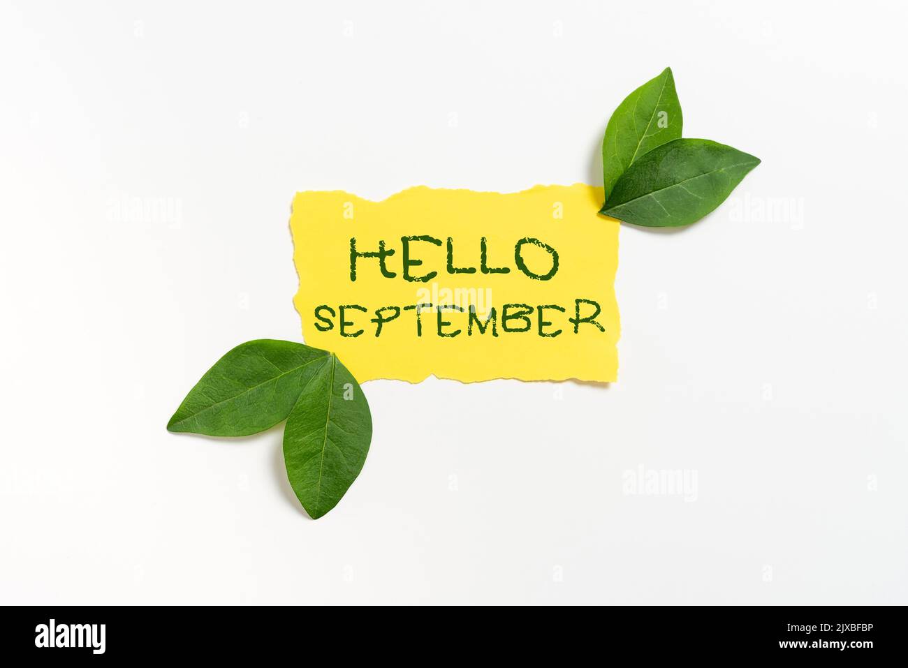 Conceptual display Hello SeptemberEagerly wanting a warm welcome to the ...