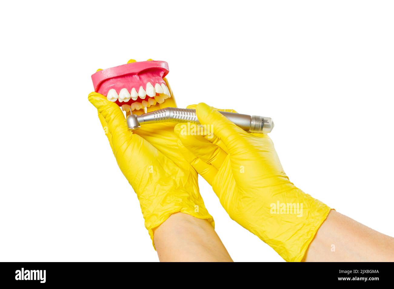 Head of high-speed dental handpiece with bur and the layout of human ...