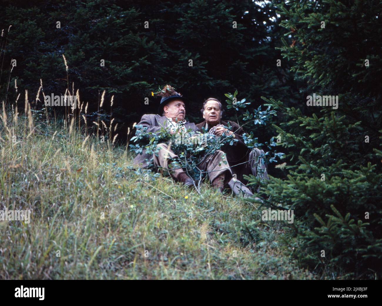 Das Loch an der Donau, Fernsehserie, Österreich 1983, Darsteller: Kurt ...