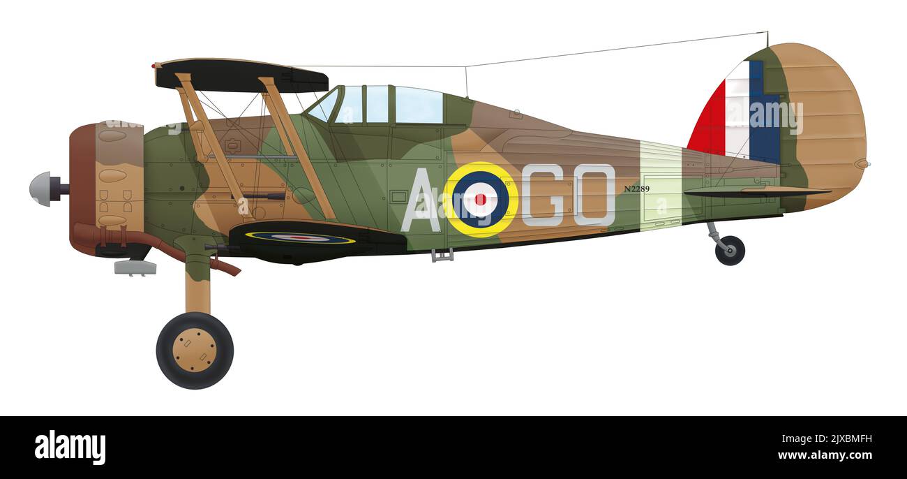 Gloster Gladiator Mk II (N2289, GO-A) of the 94th Squadron RAF, Aden ...