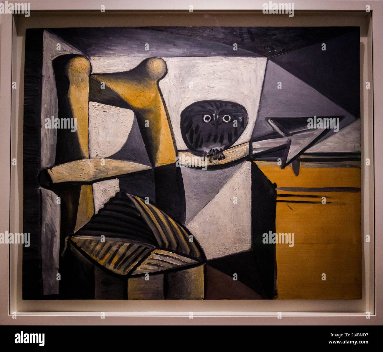 'Owl in an interior' by Picasso, 1946, Picasso Museum, an art gallery ...