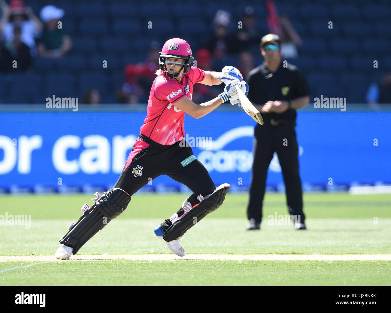 Sixers player Ellyse Perry during the Womens Big Bash League (WBBL ...