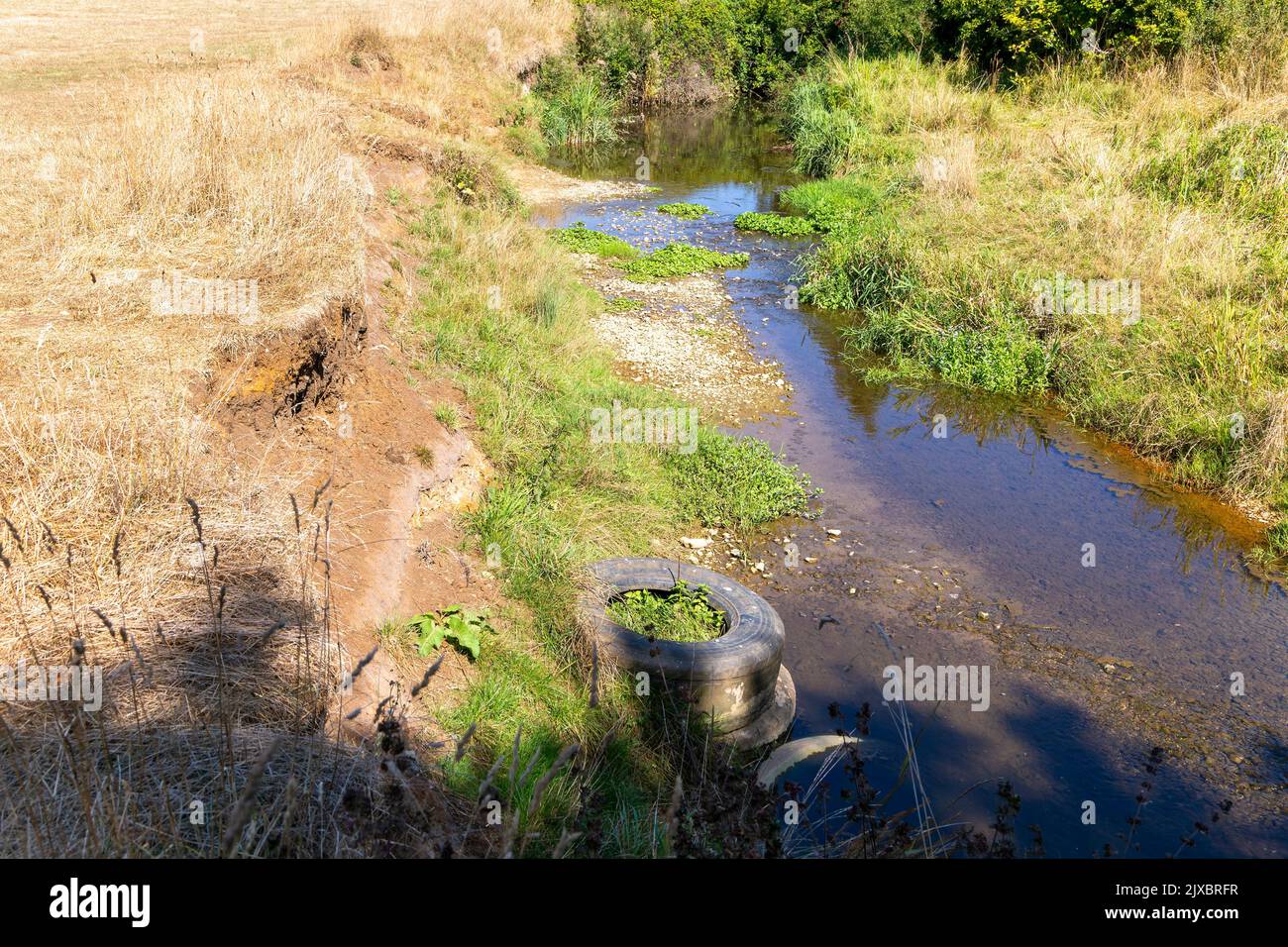 Drought conditions very low water level, River Deben, Ufford, Suffolk ...