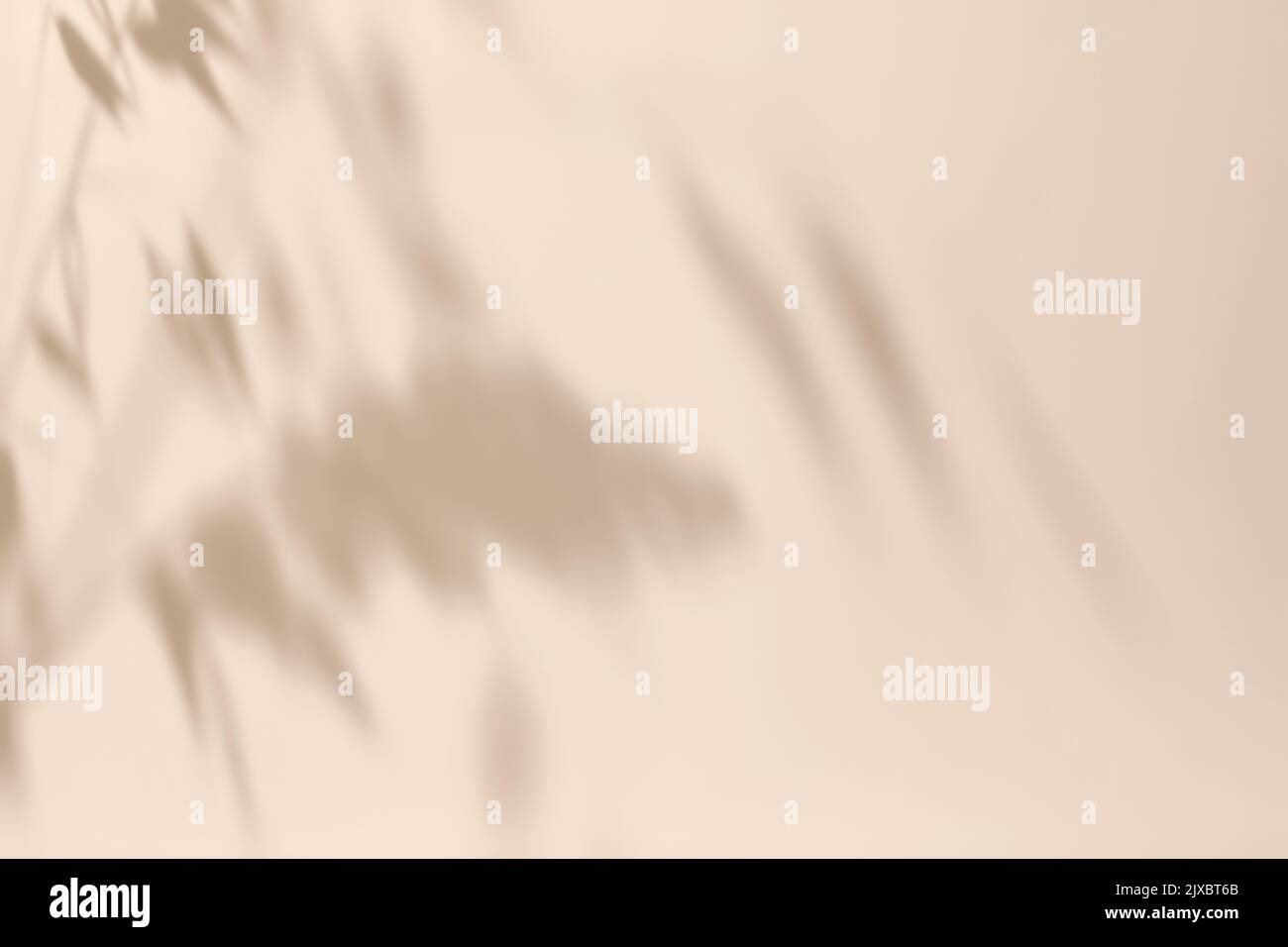 Shadow of delicate grass leaves on solid beige wall texture background ...