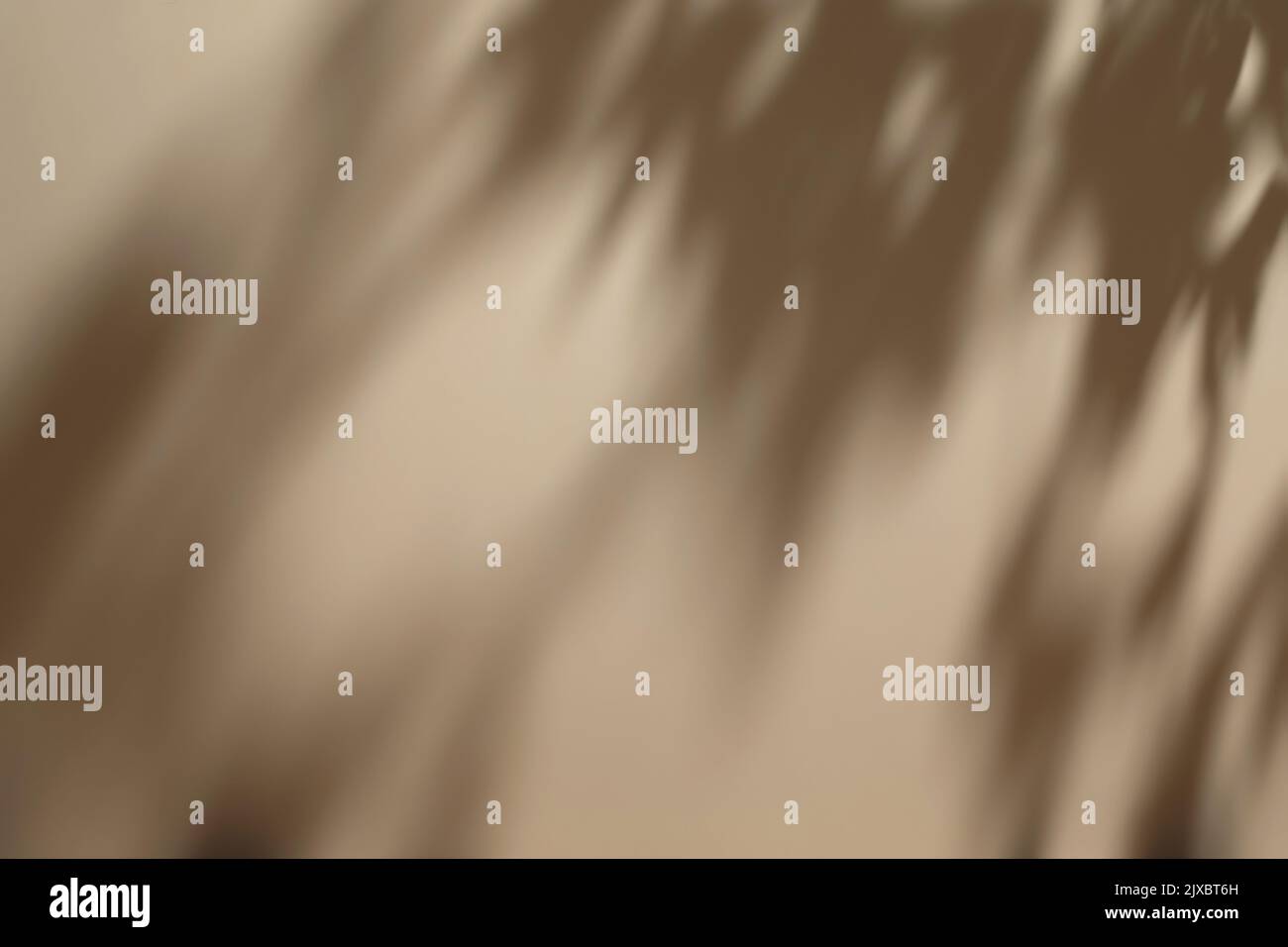 Shadow of leaves on solid beige wall texture background Stock Photo - Alamy