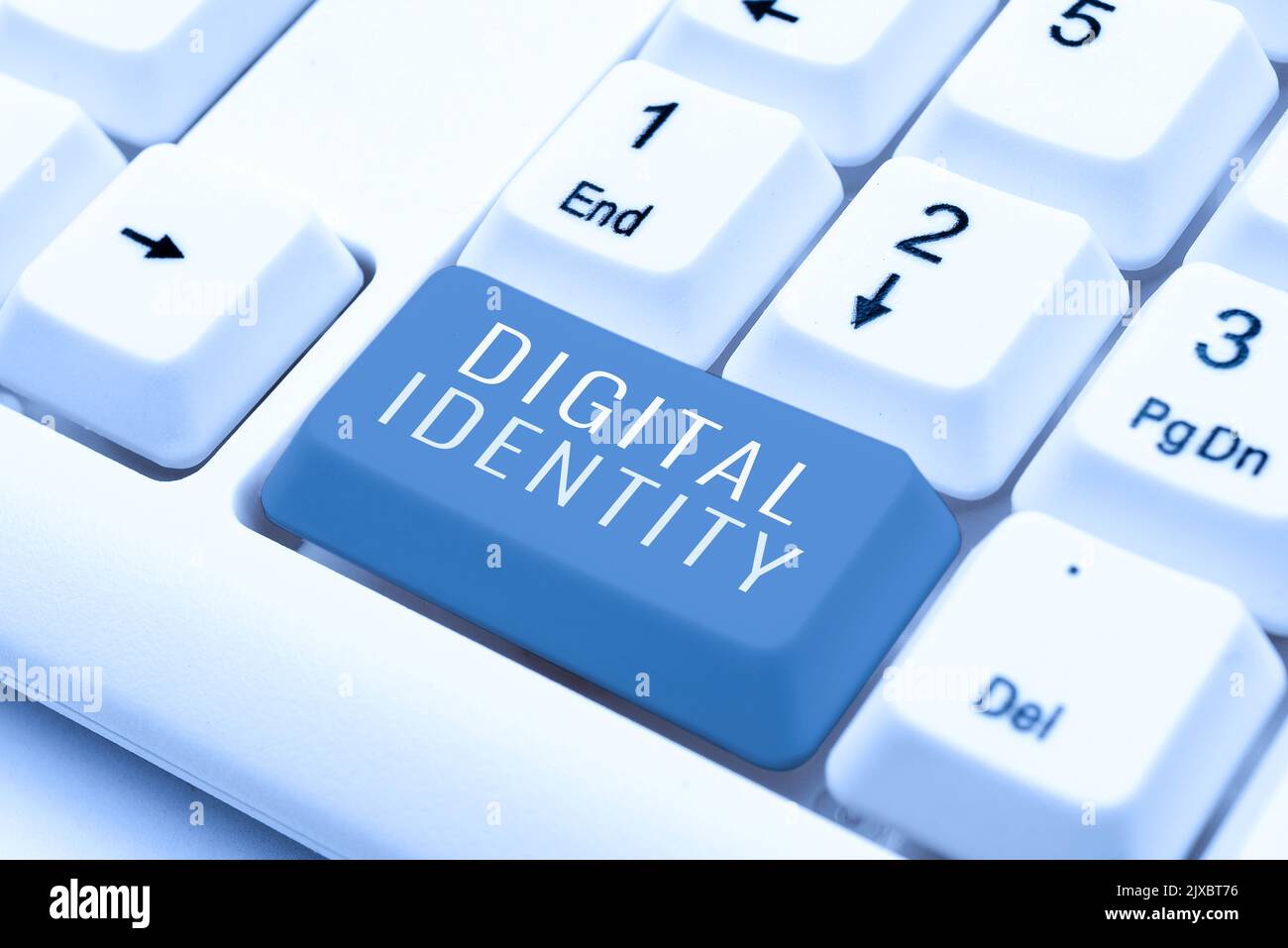 Text caption presenting Digital Identityinformation on entity used by ...