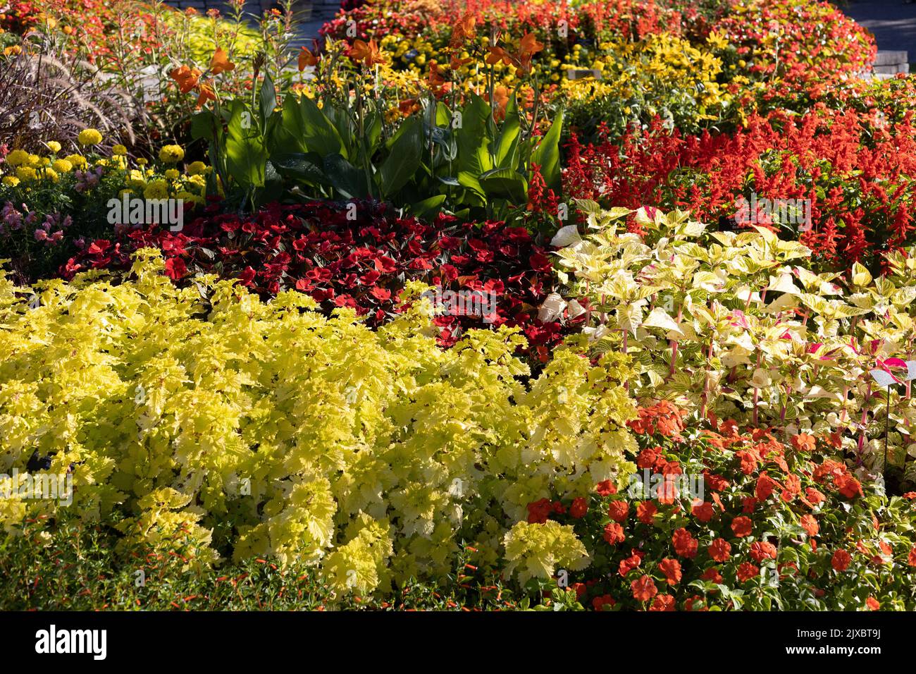 Warm color hi-res stock photography and images - Alamy