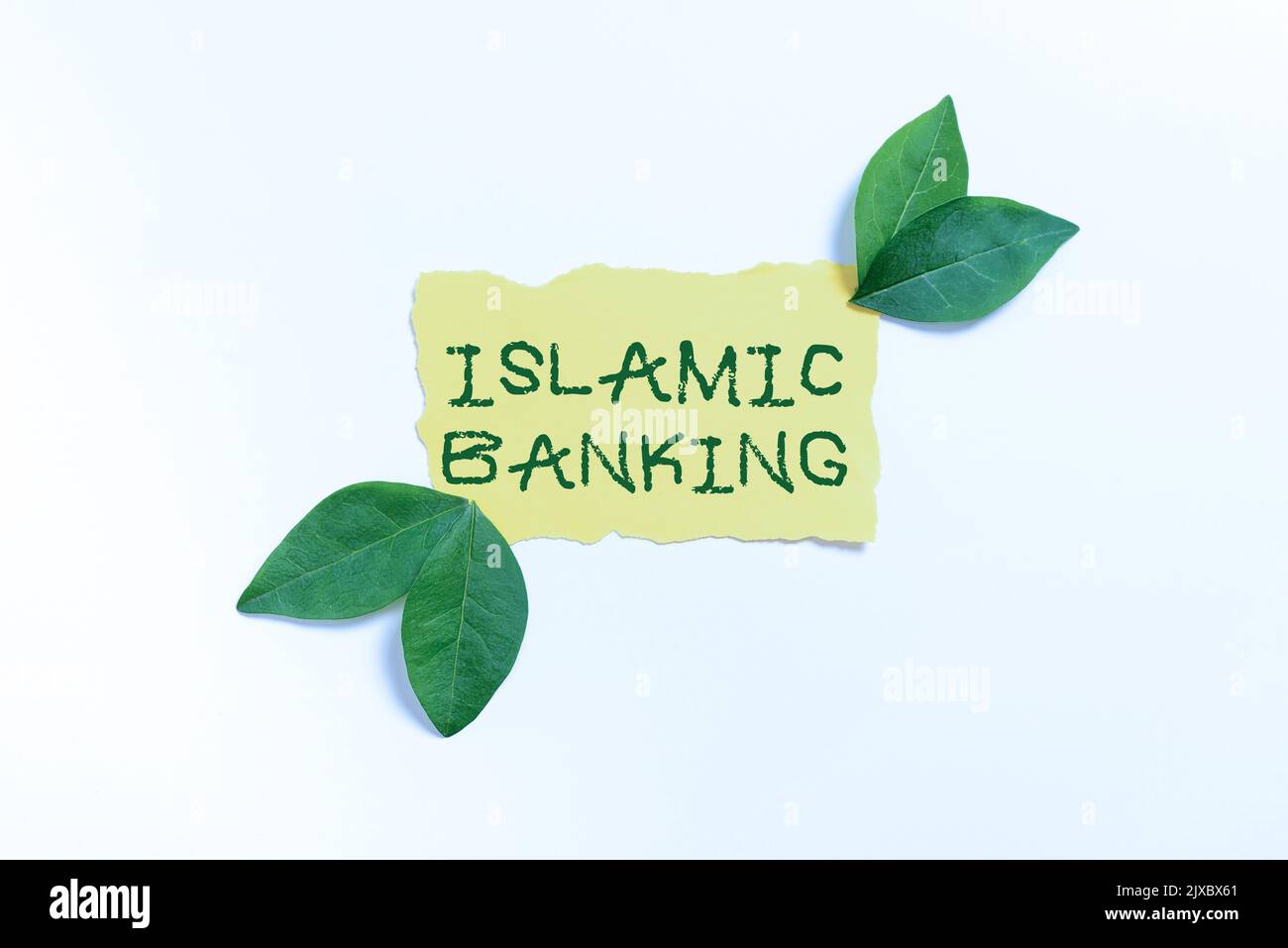 Conceptual caption Islamic BankingBanking system based on the ...
