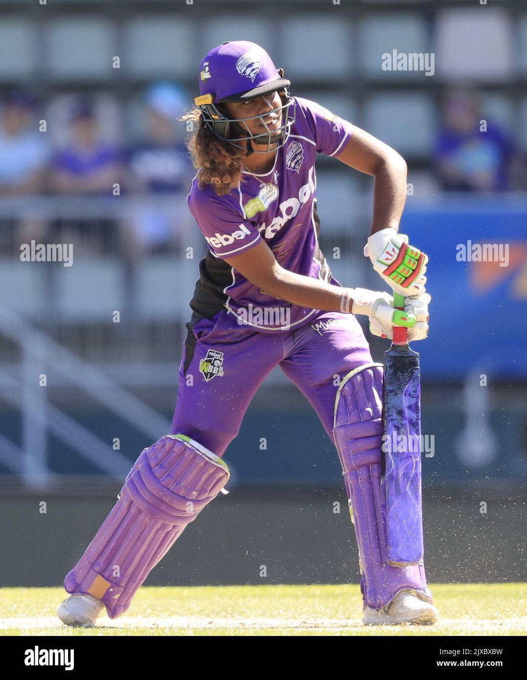 Hayley Matthews of the Hurricanes plays a shot during the Women's Big ...