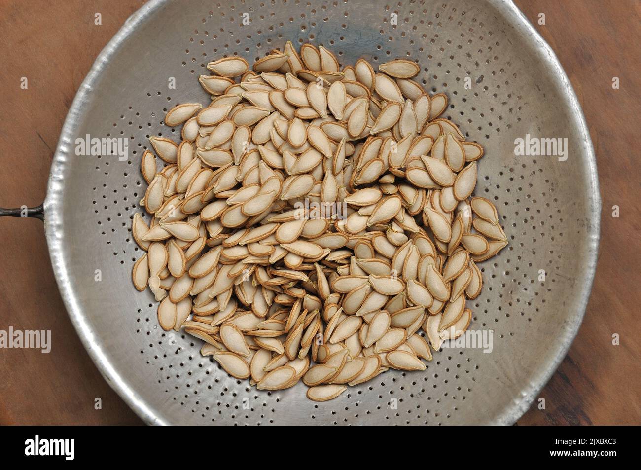 pumpkin seed on silver color grill background Stock Photo - Alamy