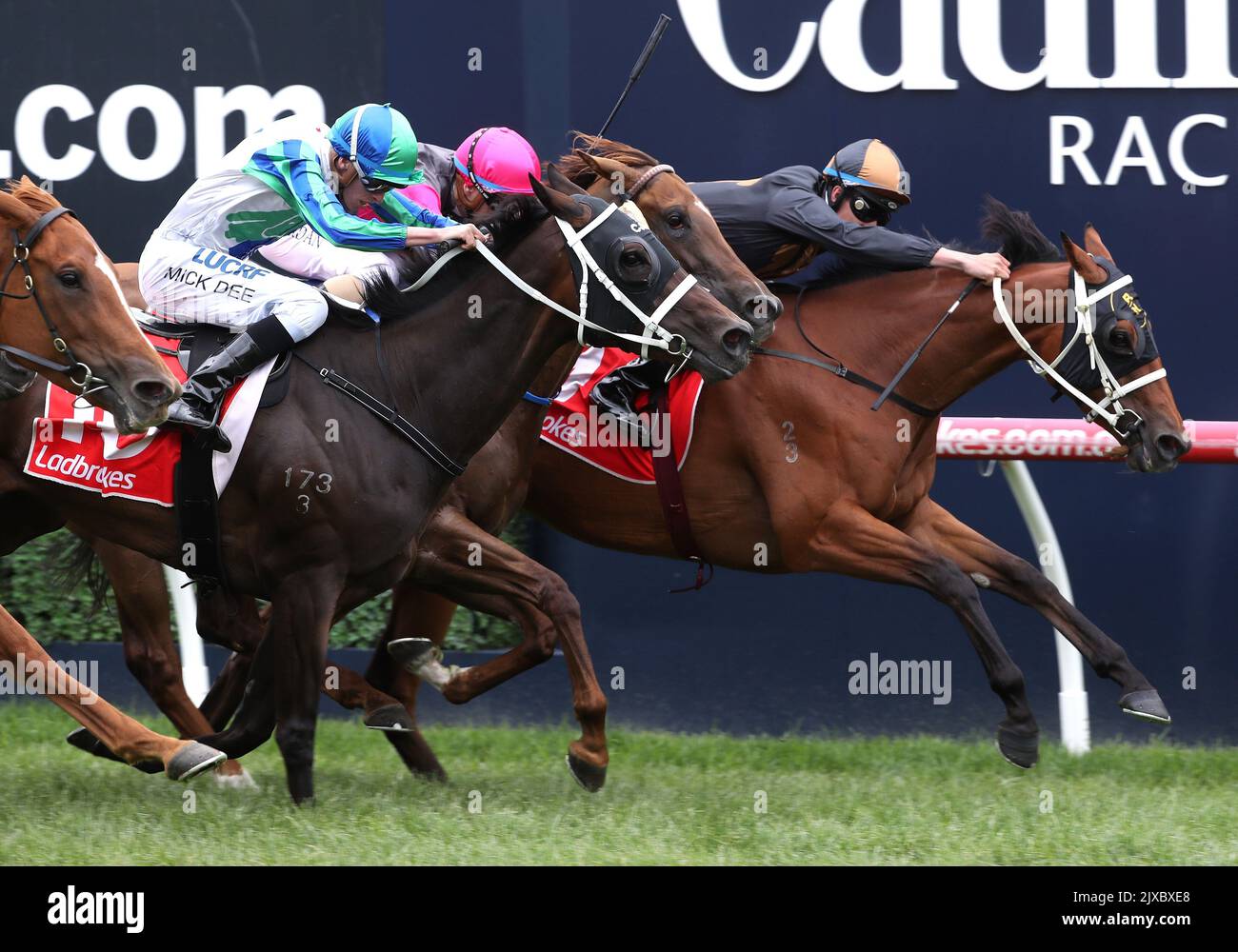 Jockey Zac Spain riding Shenandoah wins Race 1, the Maree Madden-Melder ...