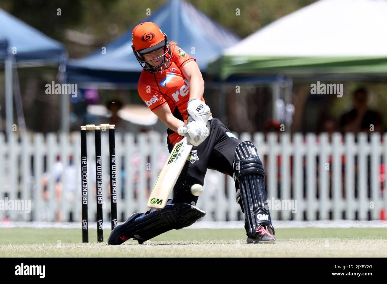 Mikayla Hinkley of the Scorchers bats during the Women's Big Bash ...