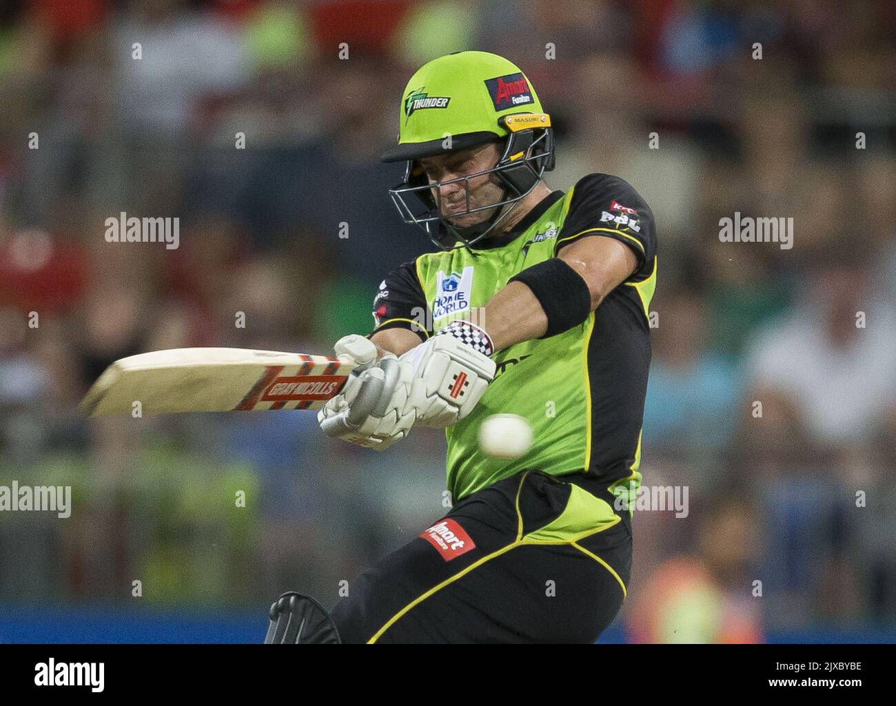 Shane Watson of the Thunder bats during the Big Bash League (BBL ...