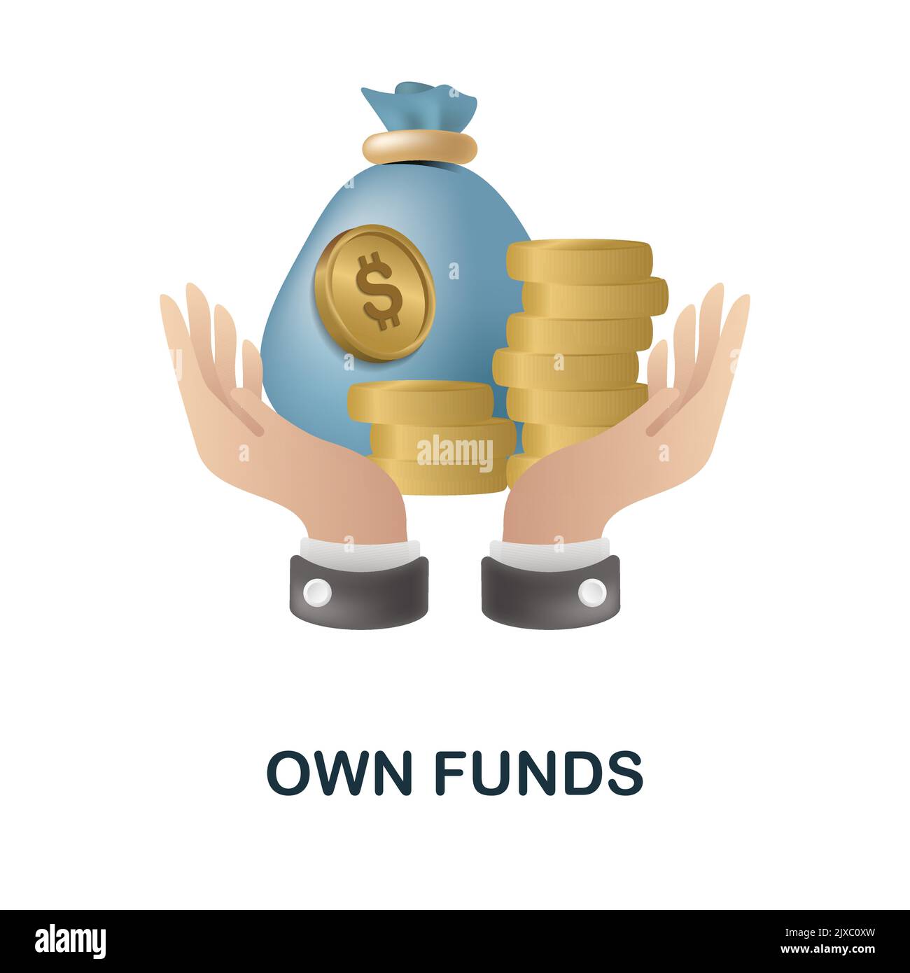 Own Funds icon. 3d illustration from banking collection. Creative Own ...