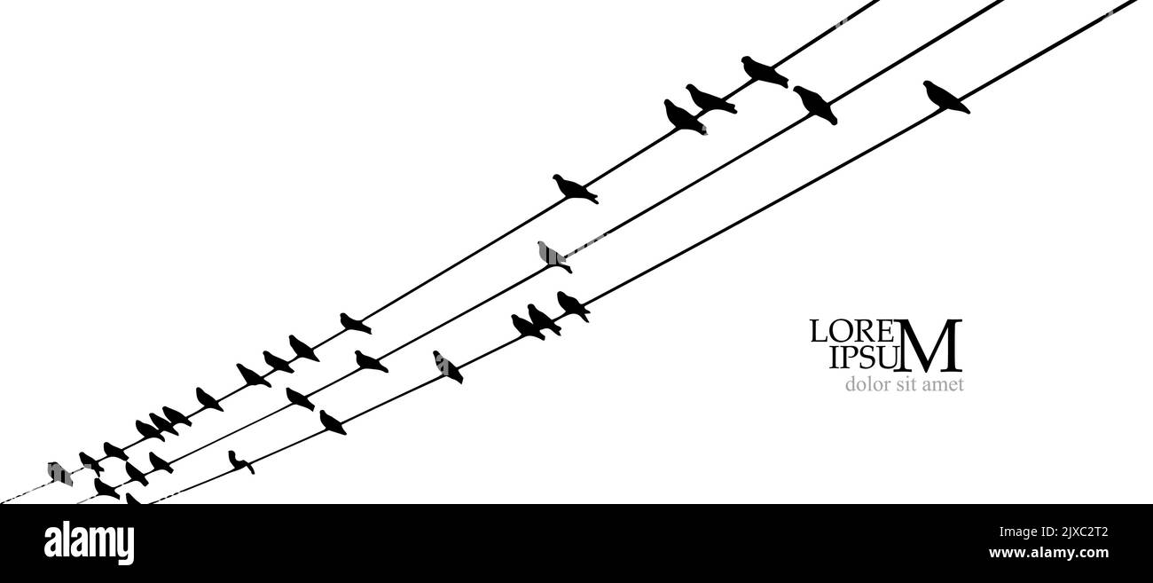 Birds on wires. Vector illustration Stock Vector Image & Art - Alamy