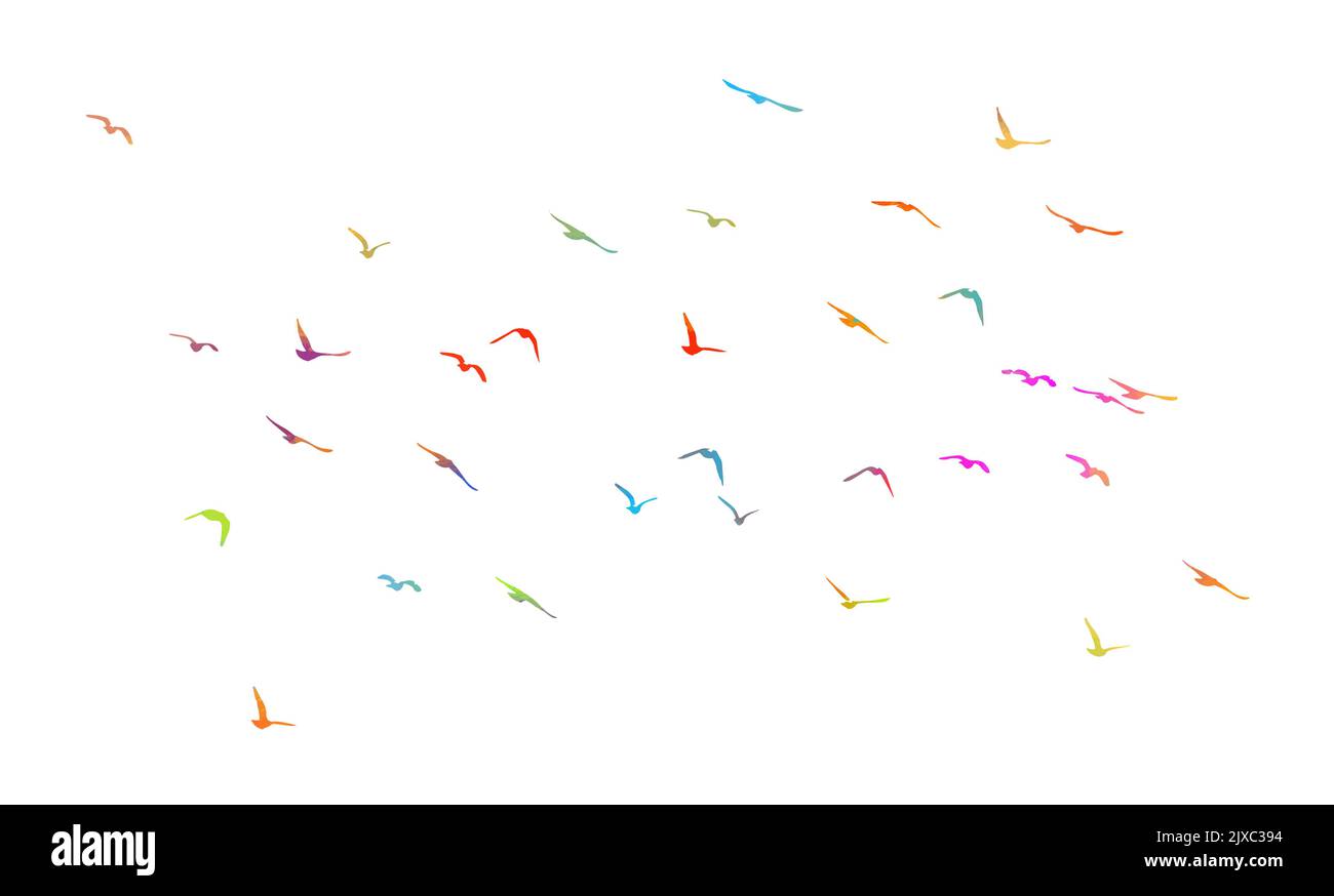 Abstract multicolored flying birds. Mixed media. Vector illustration ...