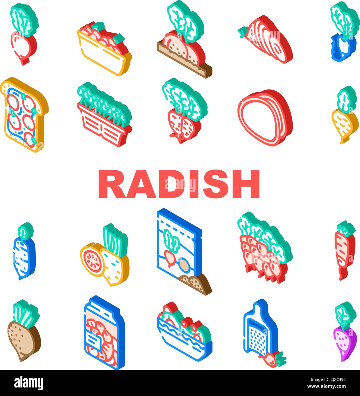 radish food organic vegetable icons set vector Stock Vector Image & Art ...