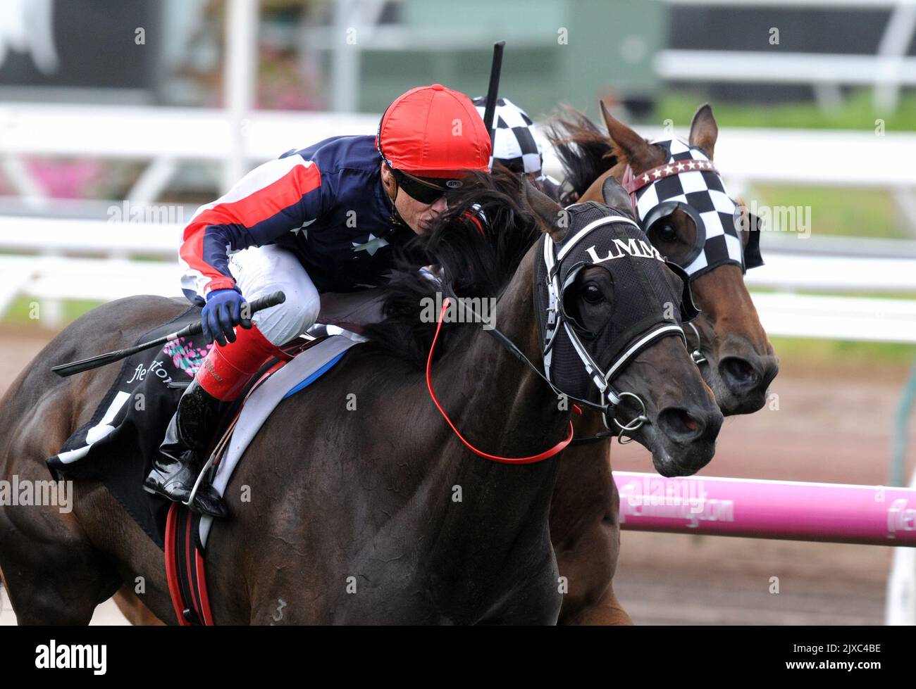 Jockey Craig Williams rides Pretty Punk (left) to victory in Race 2 ...