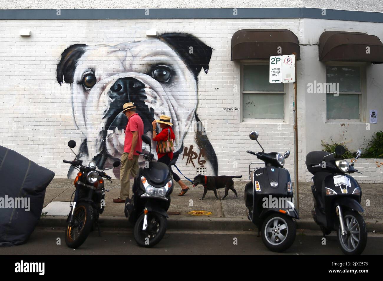 A couple walk their dog in Bondi Beach, Sydney, Saturday, January 13 ...
