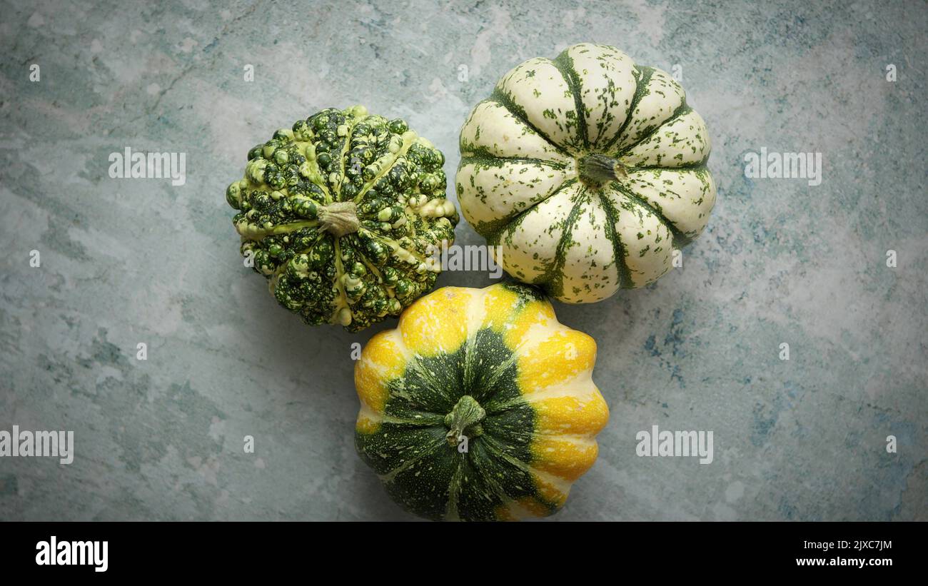 Three decorative mini pumpkins on a rustic stone background. Colorful ...