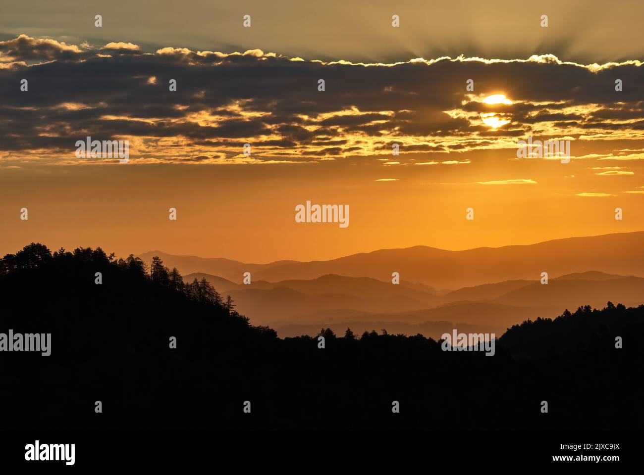Mountain hilly landscape silhouette with coniferous trees at sunrise. Sun hidden behind the ...