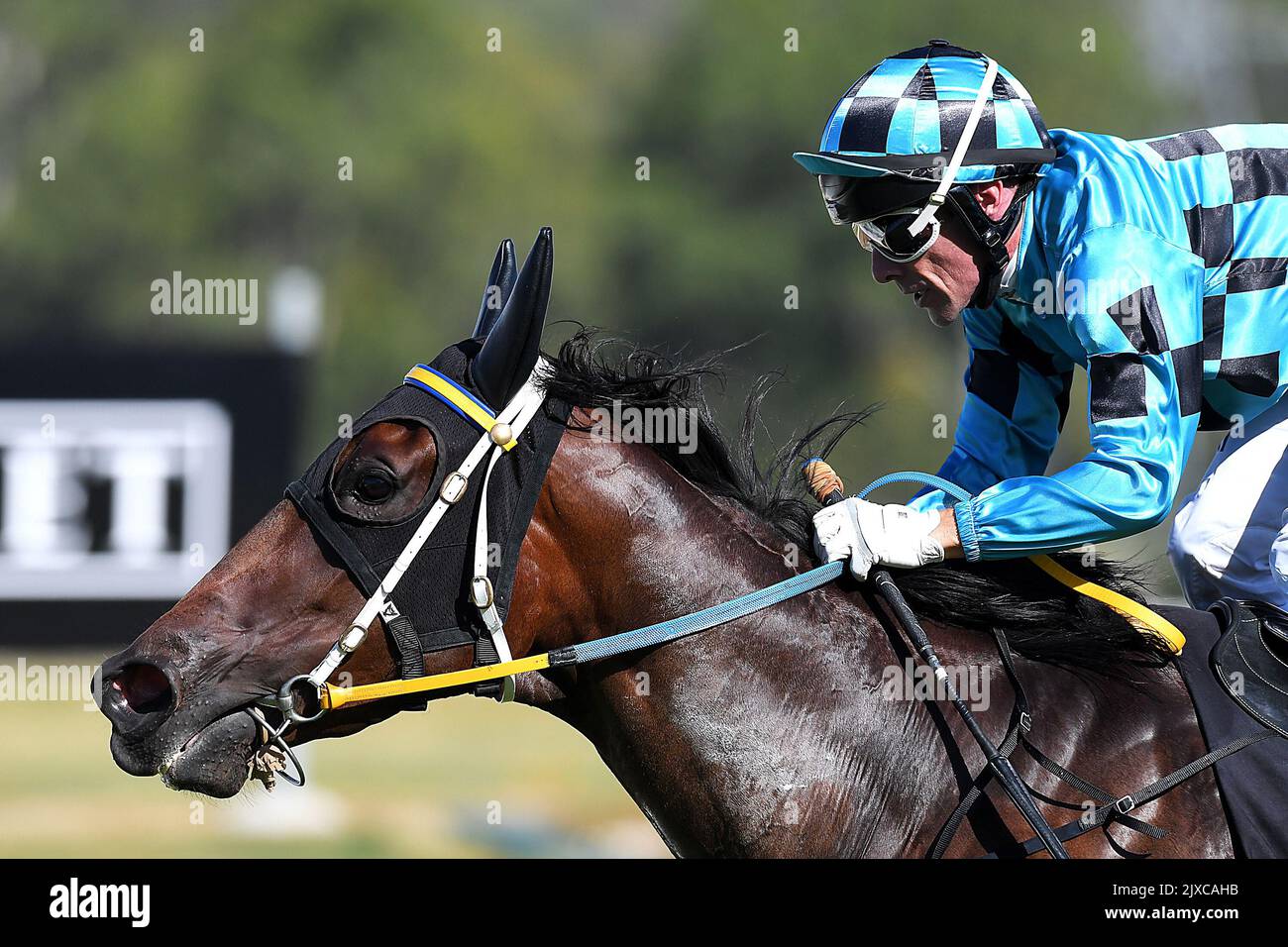 Jockey Chris Whiteley rides Absolutlypositivly to victory in race 7 ...