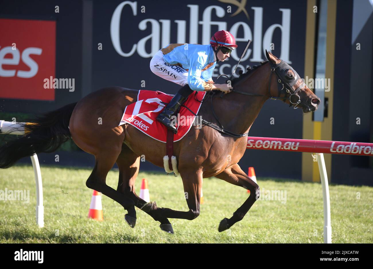 Jockey Zac Spain rides For a Song to victory in race 5, the Ladbrokes ...