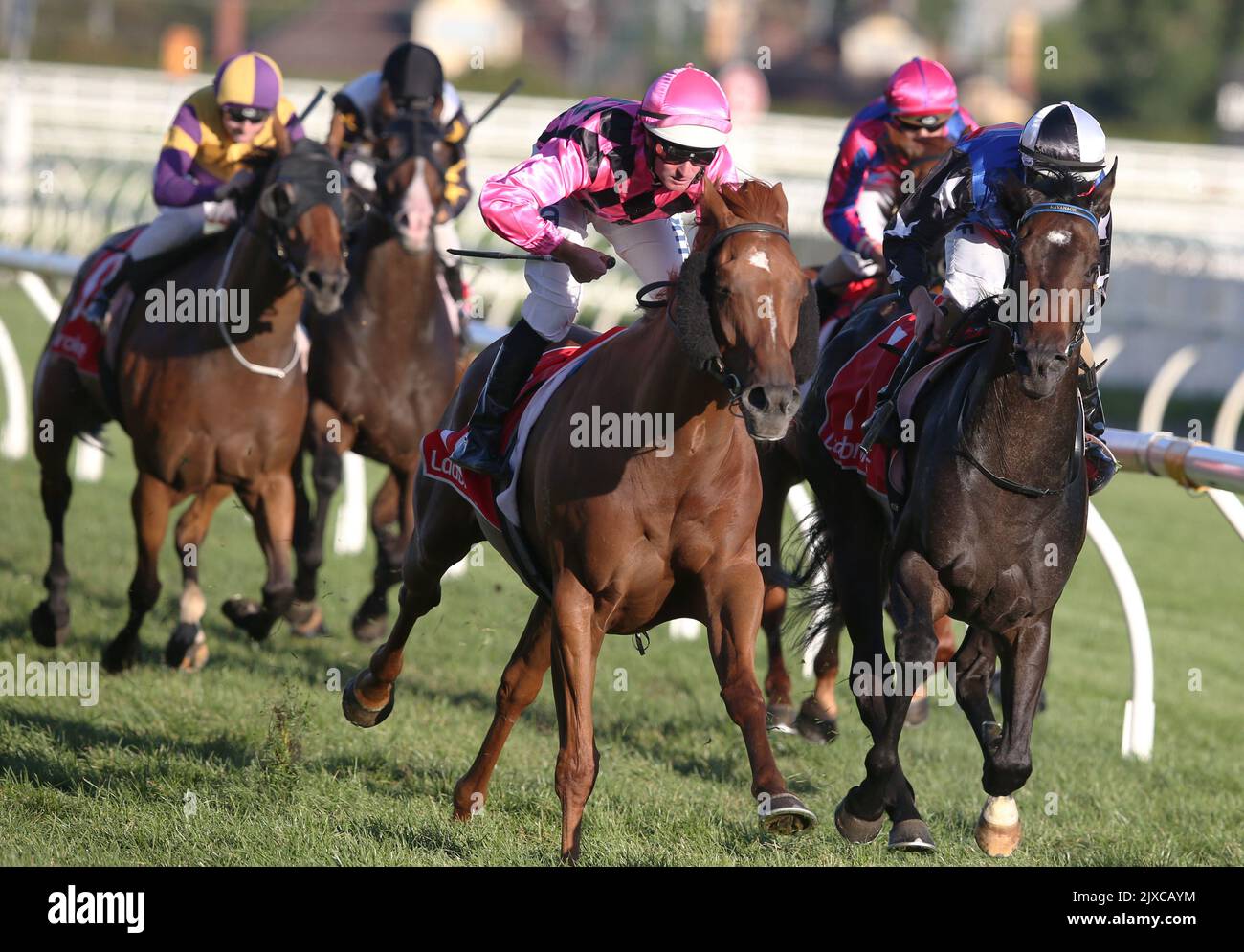 Jockey Luke Nolan (pink cap) riding Comrade Ned to victory in race 7 ...