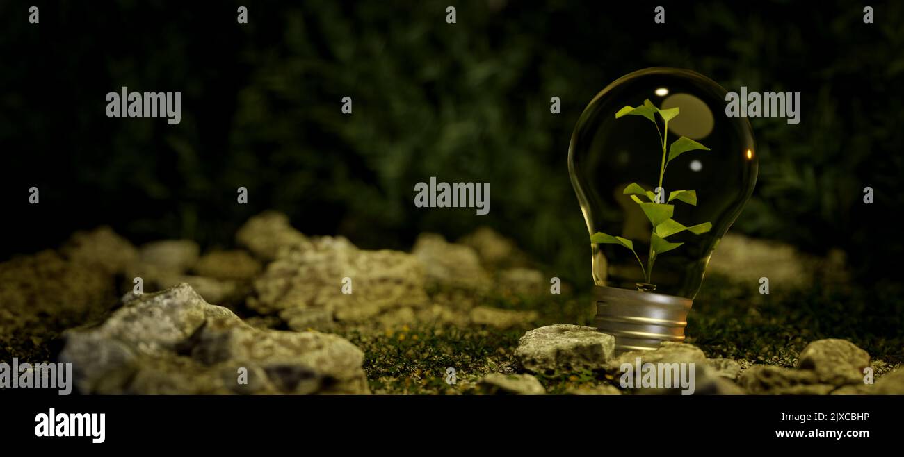A light bulb with a plant inside on rock and nature. In a clean energy ...