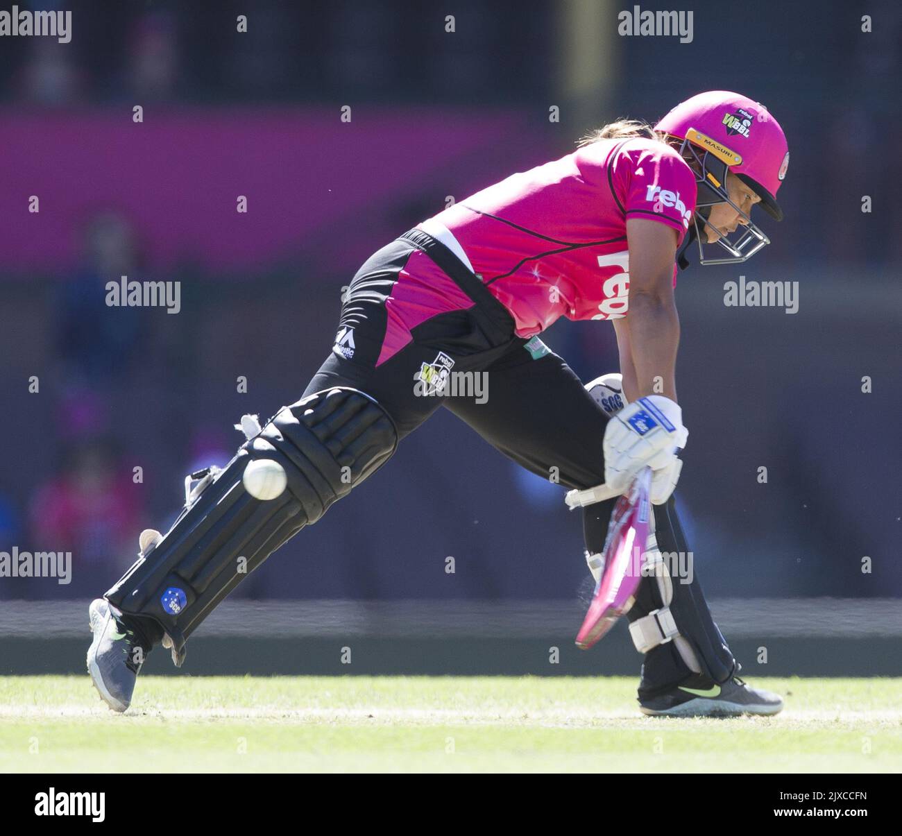 Angela Reakes of the Sixers bats during the Womens Big Bash League ...