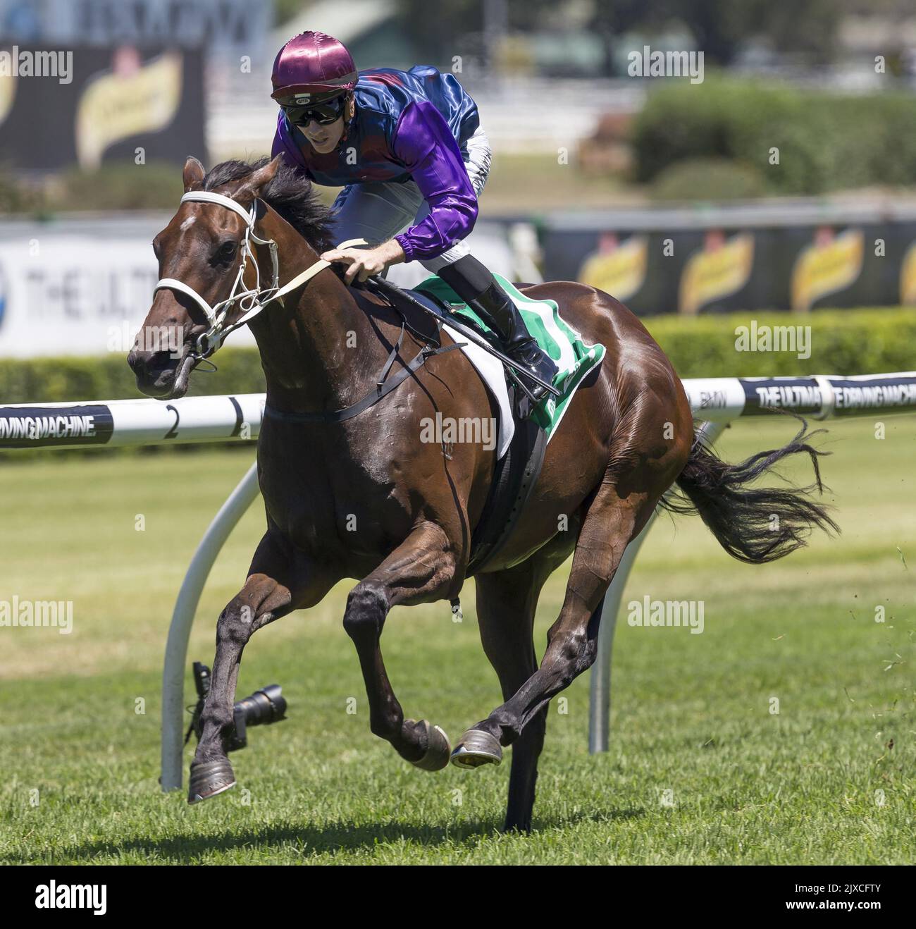 Jockey Jay Ford rides Acquittal to win race 3, the TAB Highway Handicap ...