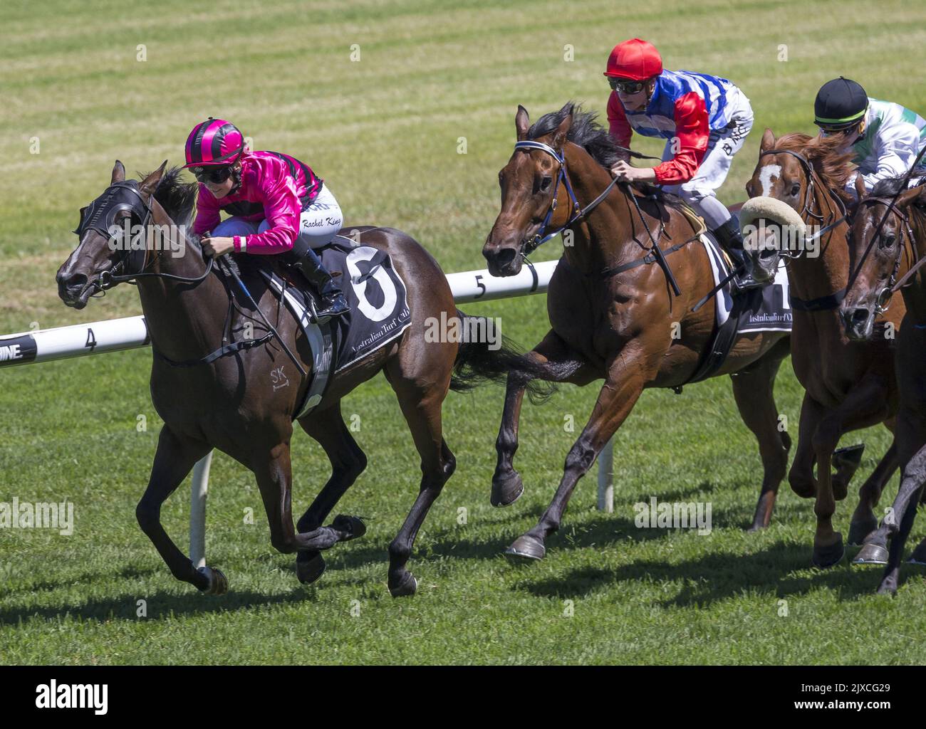 Jockey Rachel King rides Memes to win race 5, the Rebecca Louise Summer ...