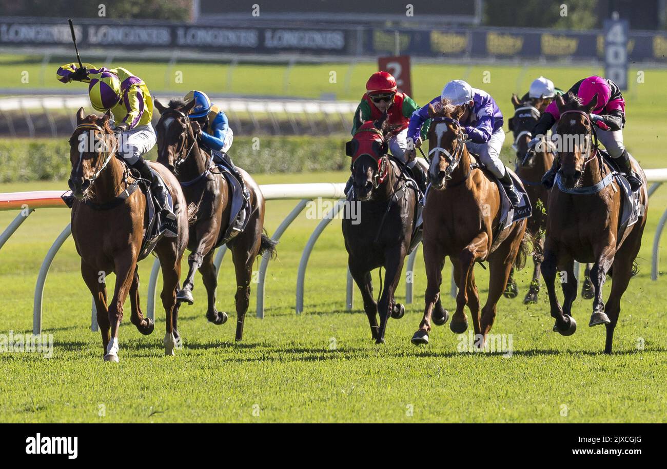 Jockey Jess Taylor rides Maddison Avenue to win race 9, the Honourable ...