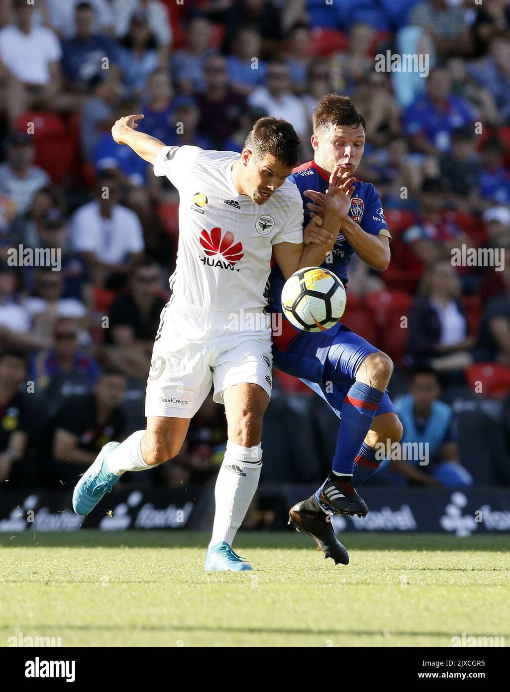 Andrija Kaludjerovic of the Phoenix (left) competes for the ball with ...