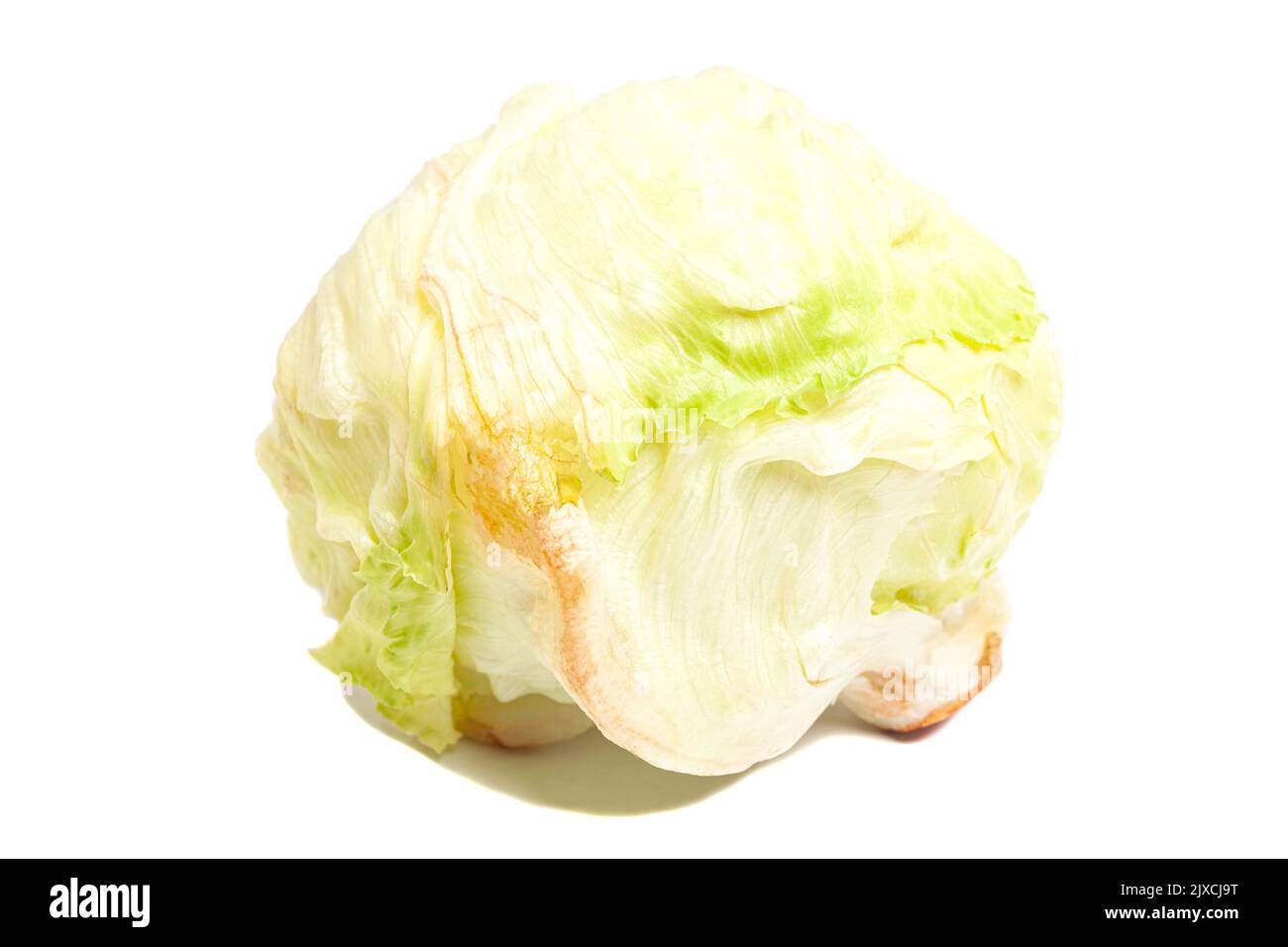 iceberg lettuce cabbage isolated on white background Stock Photo - Alamy